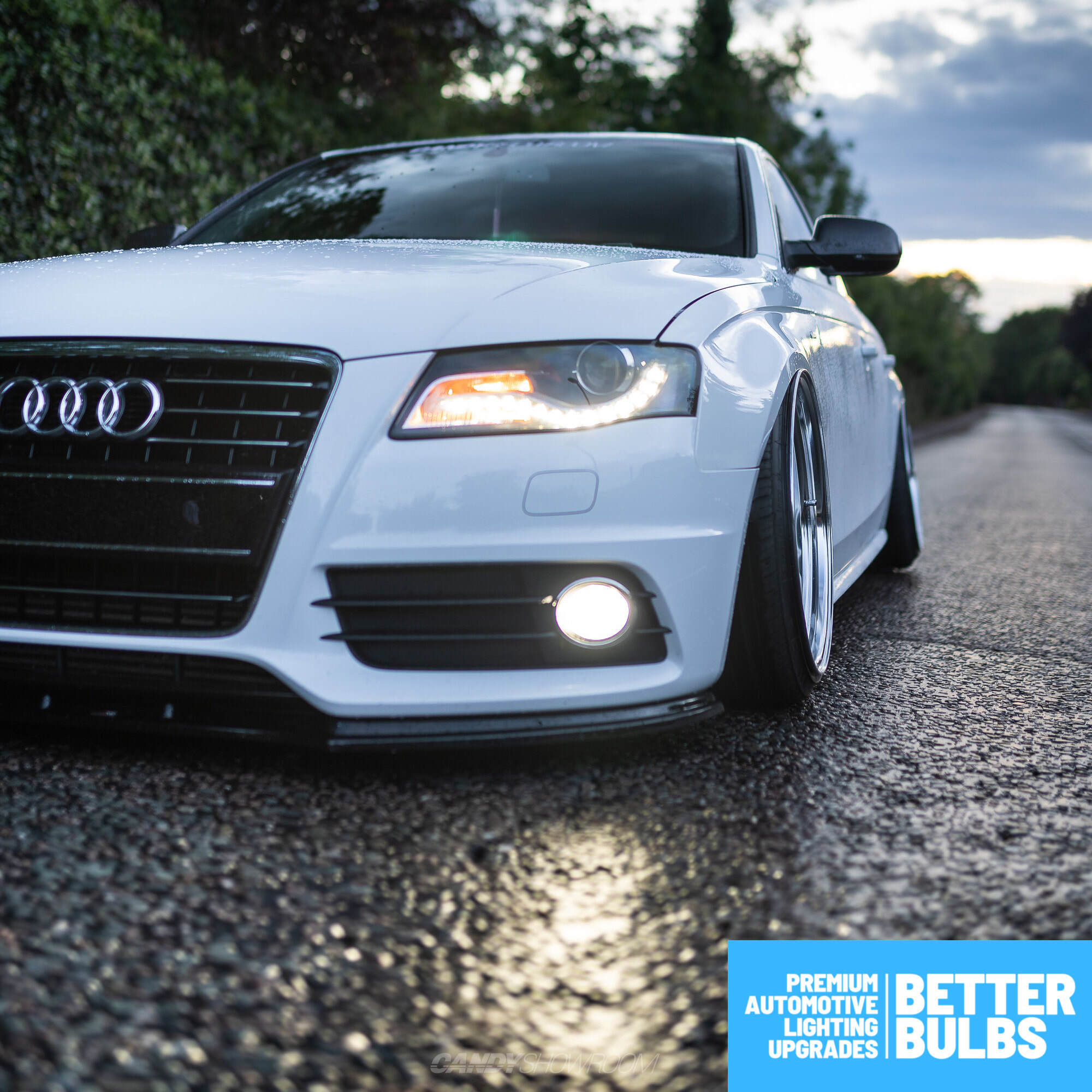 Premium LED Fog Light Bulbs betterbulbs